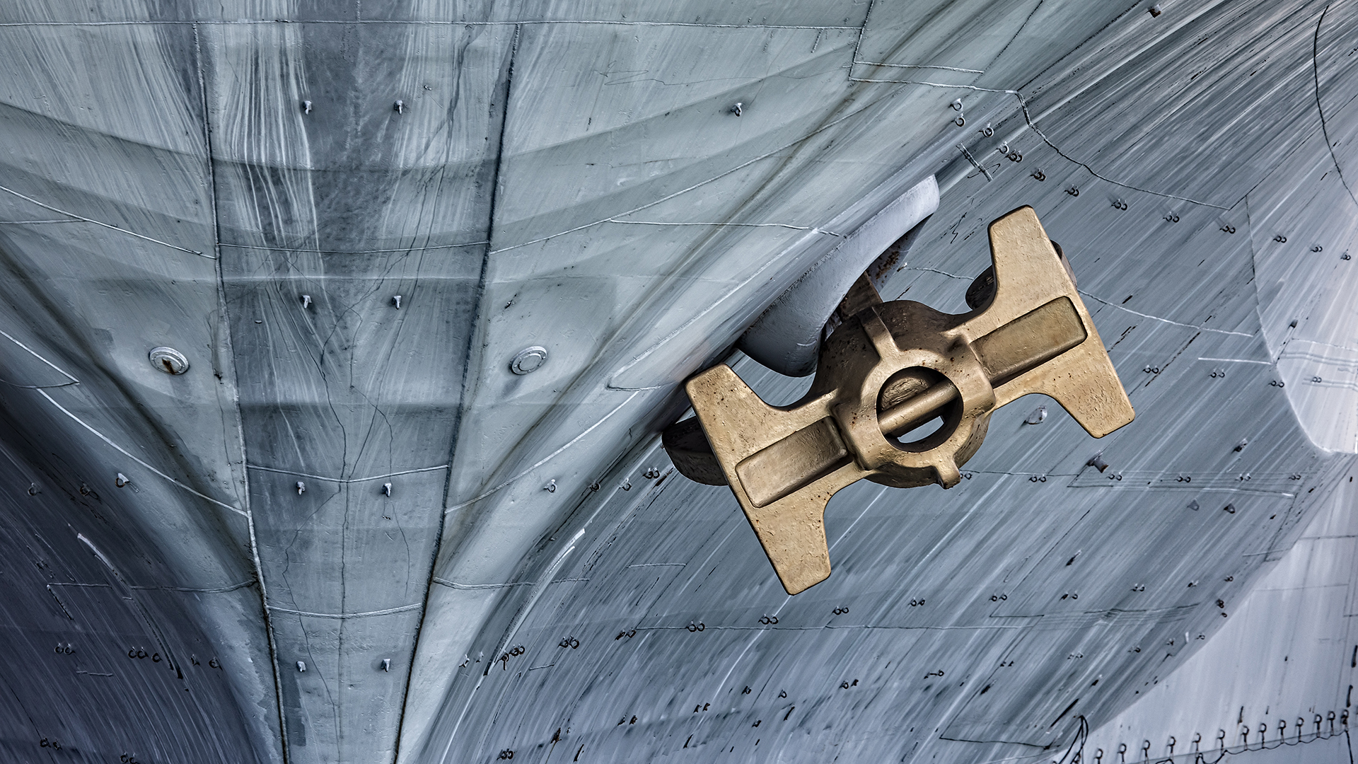 Telling stories that matter – A bestselling author’s journey to ...