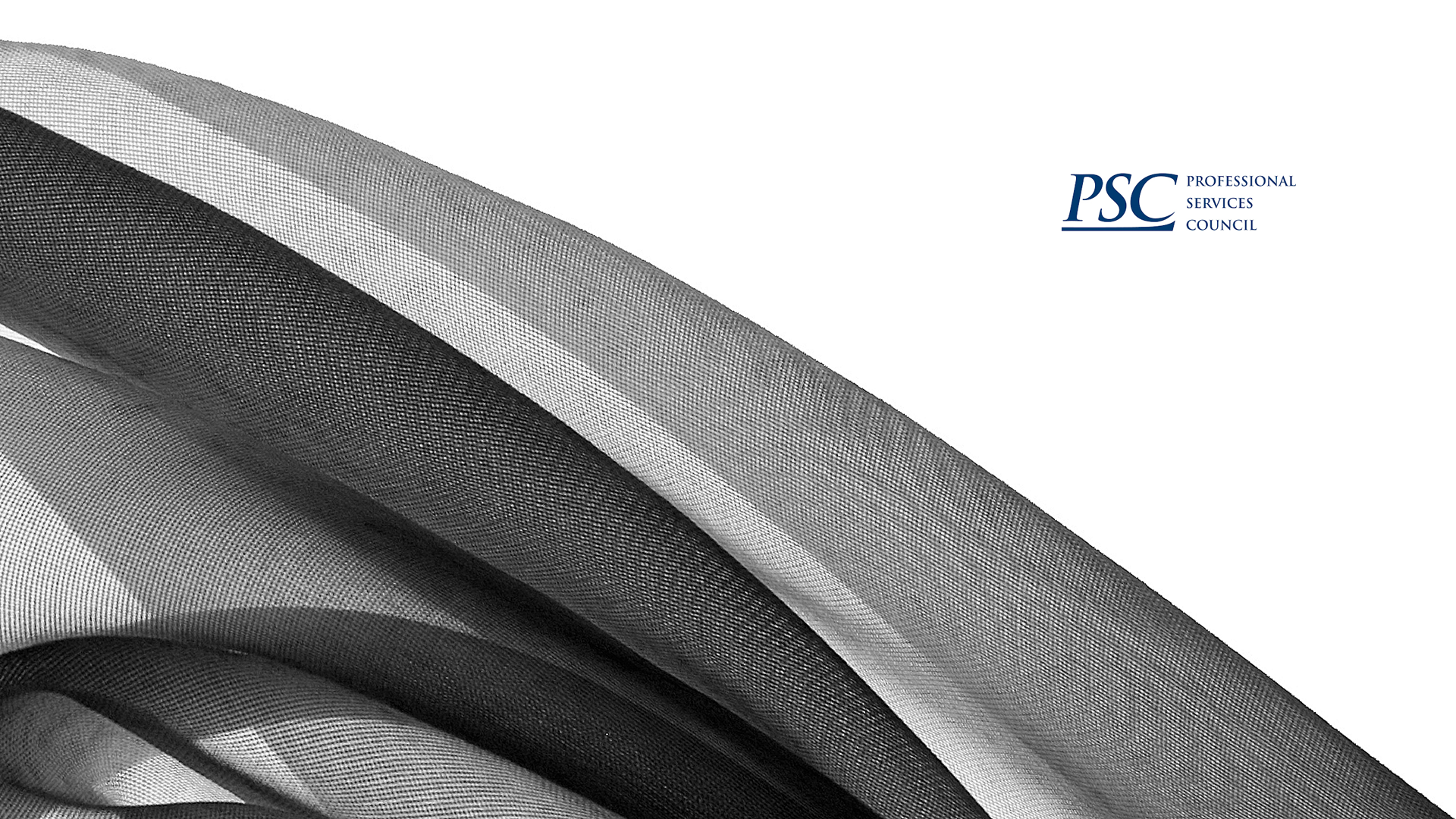 Peraton's Steve Schorer Joins PSC Board | Peraton